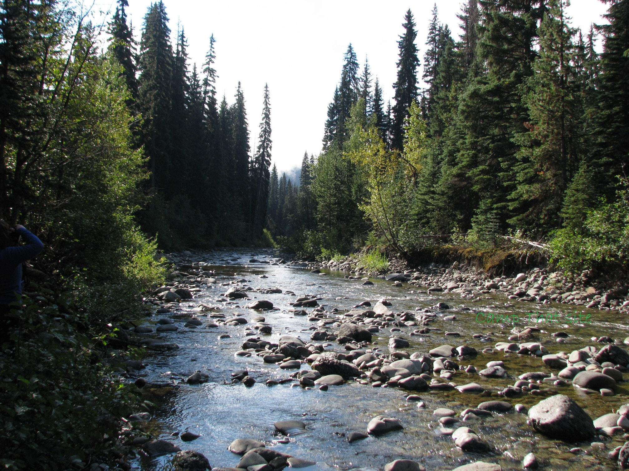 Coldspring Campground – Why This Is A Great Option! – Camp That Site ...