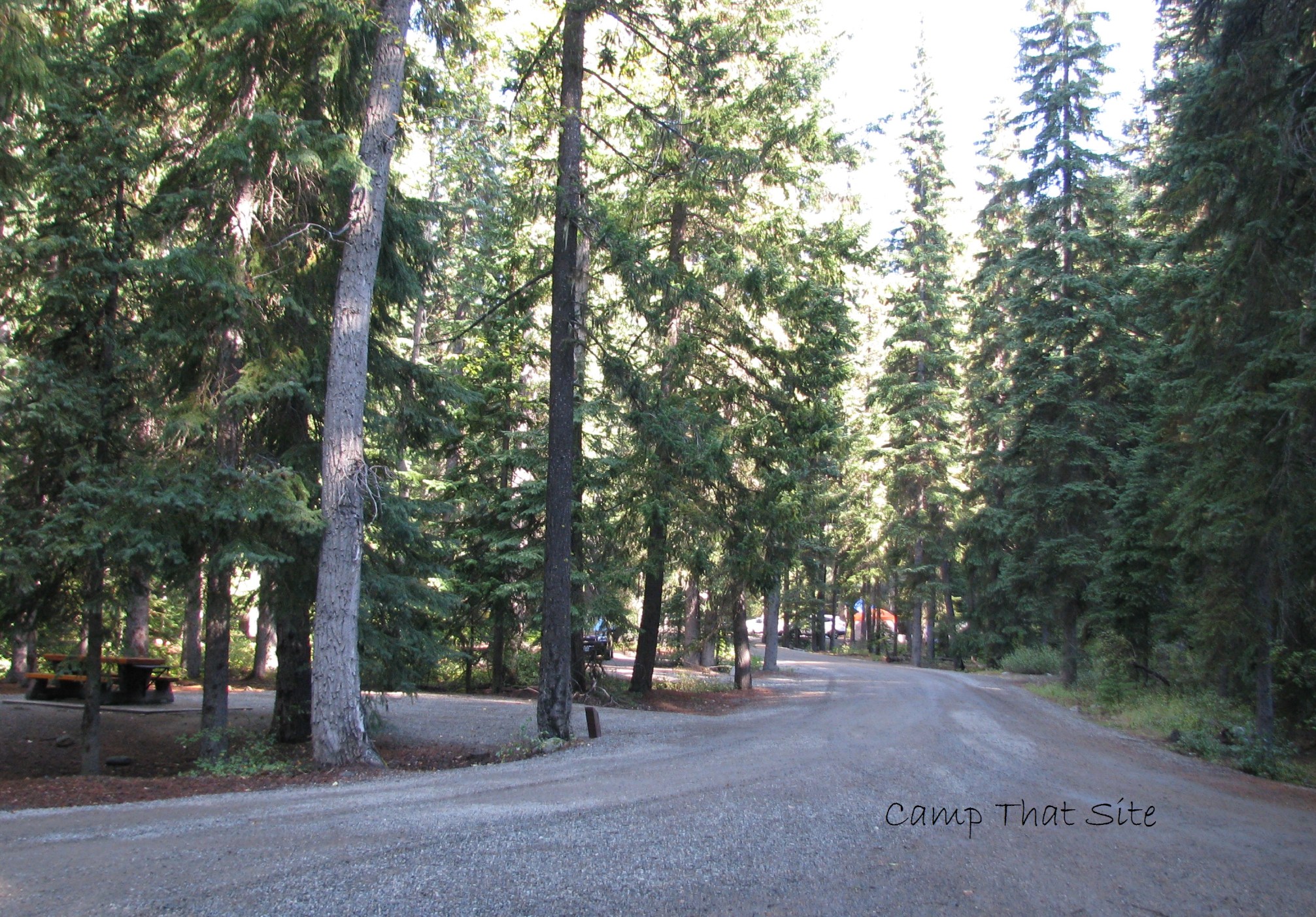 Coldspring Campground – Why This Is A Great Option! – Camp That Site ...