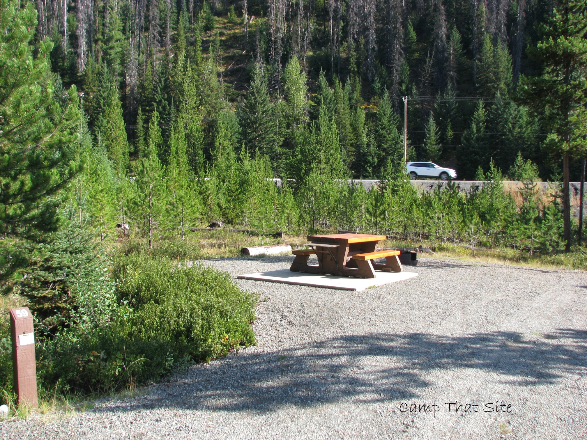 Coldspring Campground – Why This Is A Great Option! – Camp That Site ...