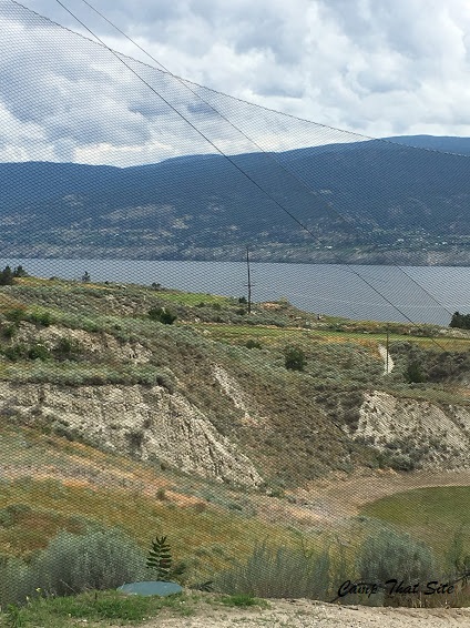 WOW Golf Course, Penticton BC – Review – Camp That Site: Enjoy BC with ...