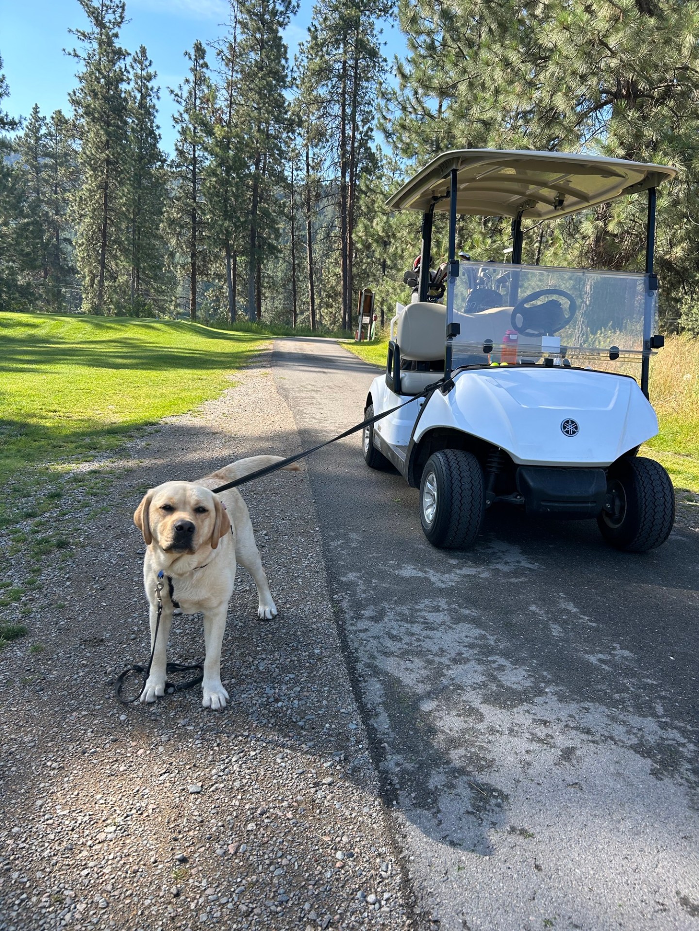 Exploring Princeton’s RV Park: Golf and Camping Combined – Camp That ...
