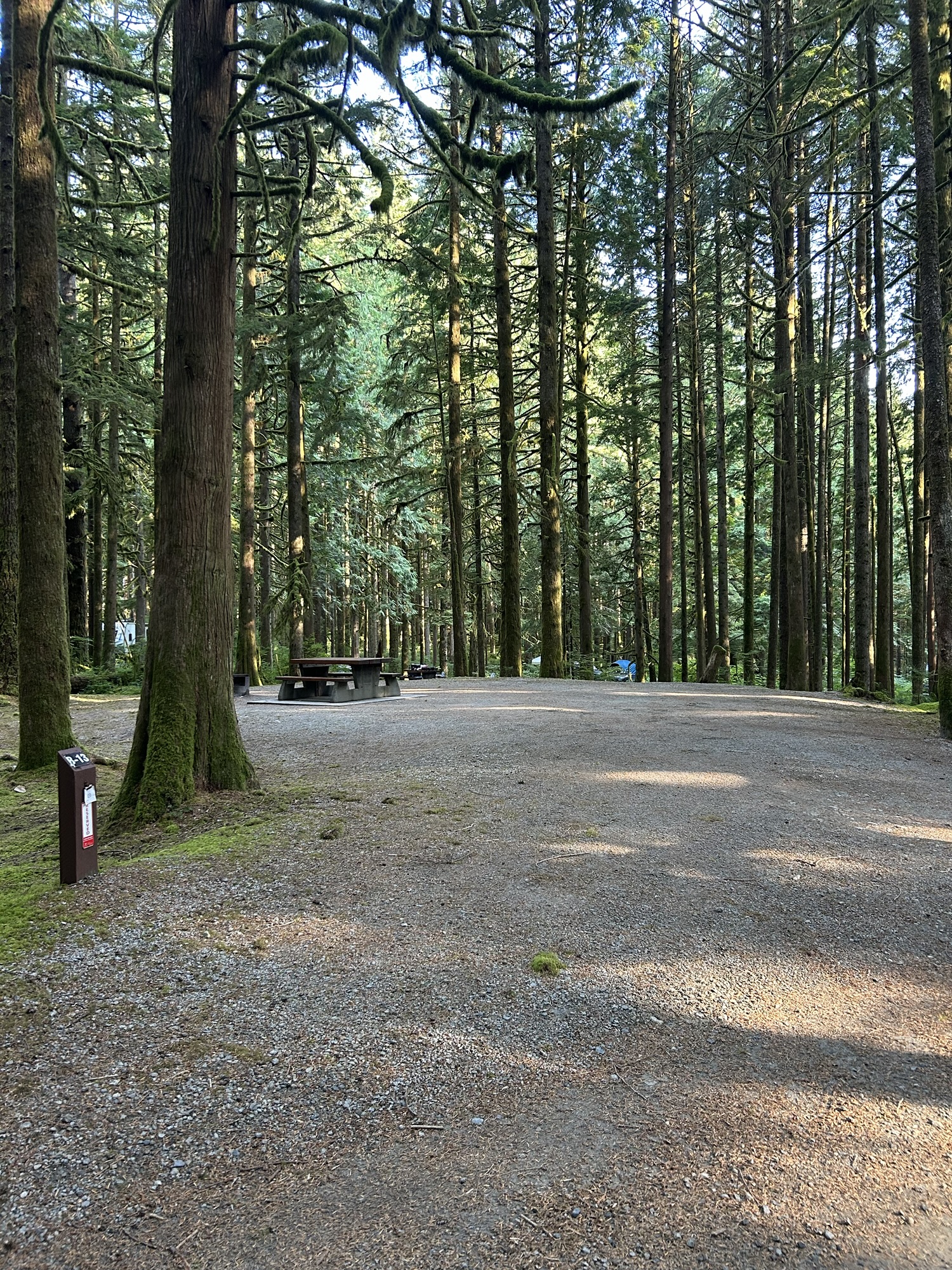 Top Tips for Camping at Alouette Campground in Golden Ears Park – Camp ...