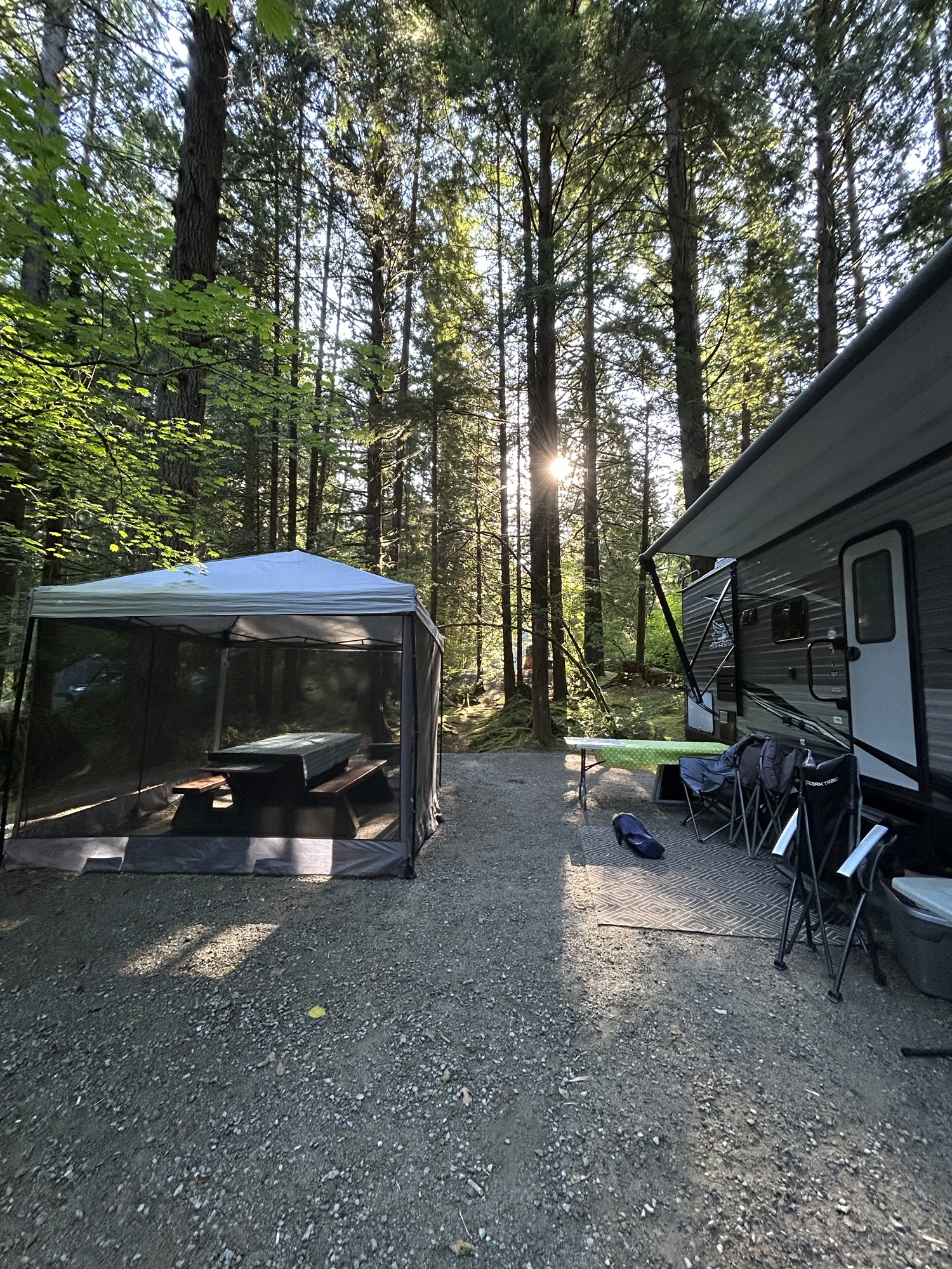 Top Tips for Camping at Alouette Campground in Golden Ears Park – Camp ...
