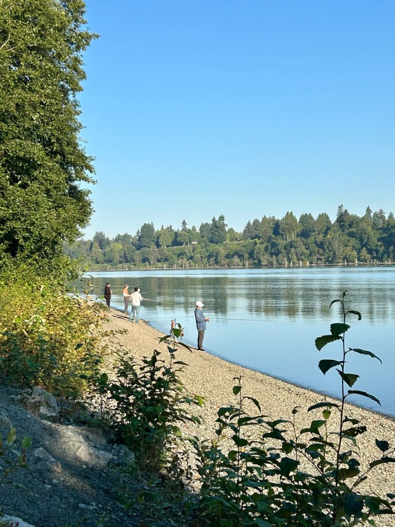 Edgewater Bar Campground: A Hidden Gem in Langley – Camp That Site ...