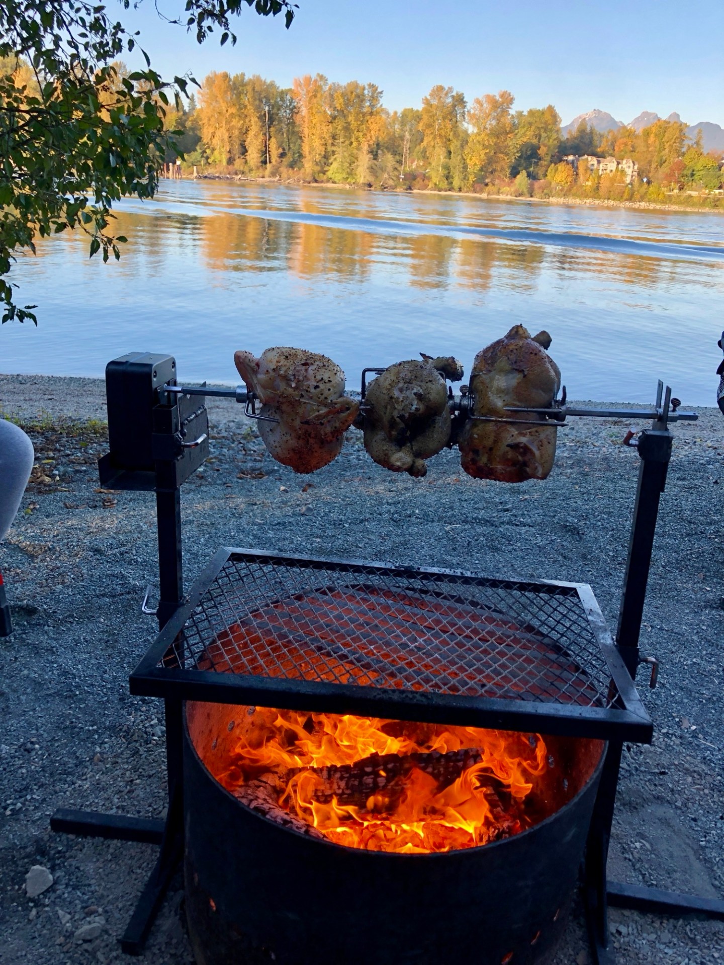 Edgewater Bar Campground: A Hidden Gem in Langley – Camp That Site ...